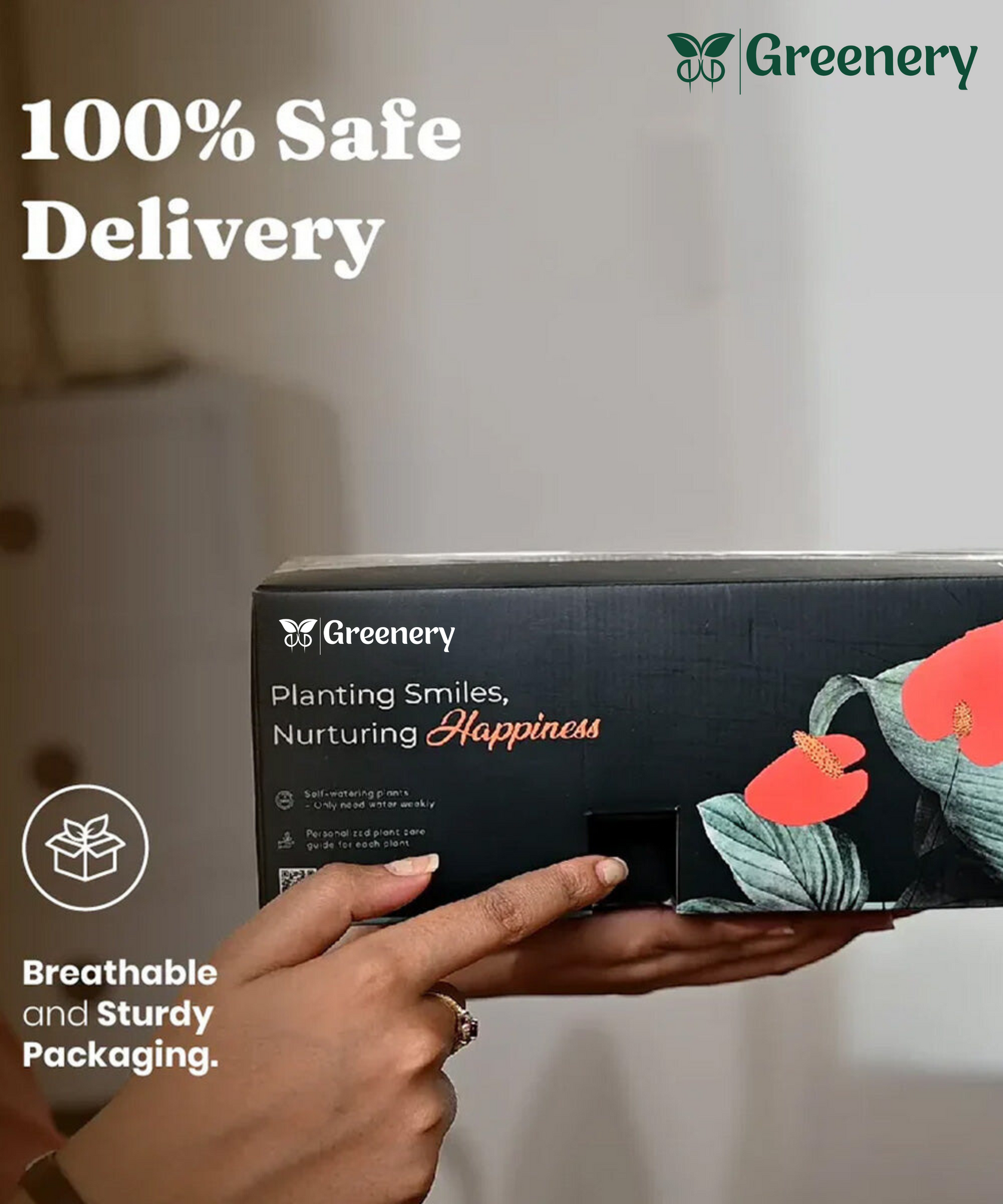 Areca Palm Plant With Self-Watering Pot – Greenery